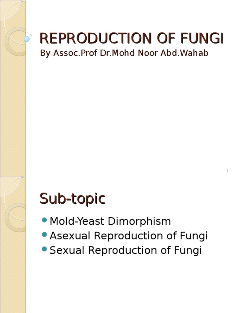4.reproduction of Fungi | PDF | Spore | Sexual Reproduction