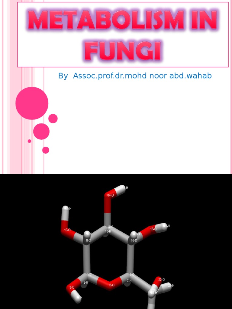 6.Metabolism in Fungi | Glycolysis | Pyruvic Acid