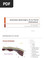 Incisión de Pfannenstiel: Técnica y Aplicaciones | PDF | Pelvis | Vagina