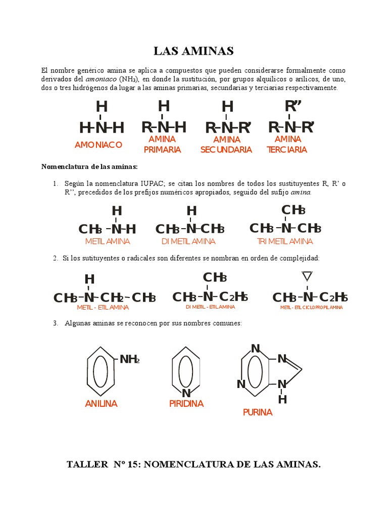 Nomenclatura y Tipos de Aminas | PDF | Amina | Química Orgánica