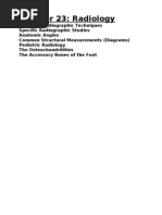 Glossary of Podiatry Terms | PDF | Toe | Foot