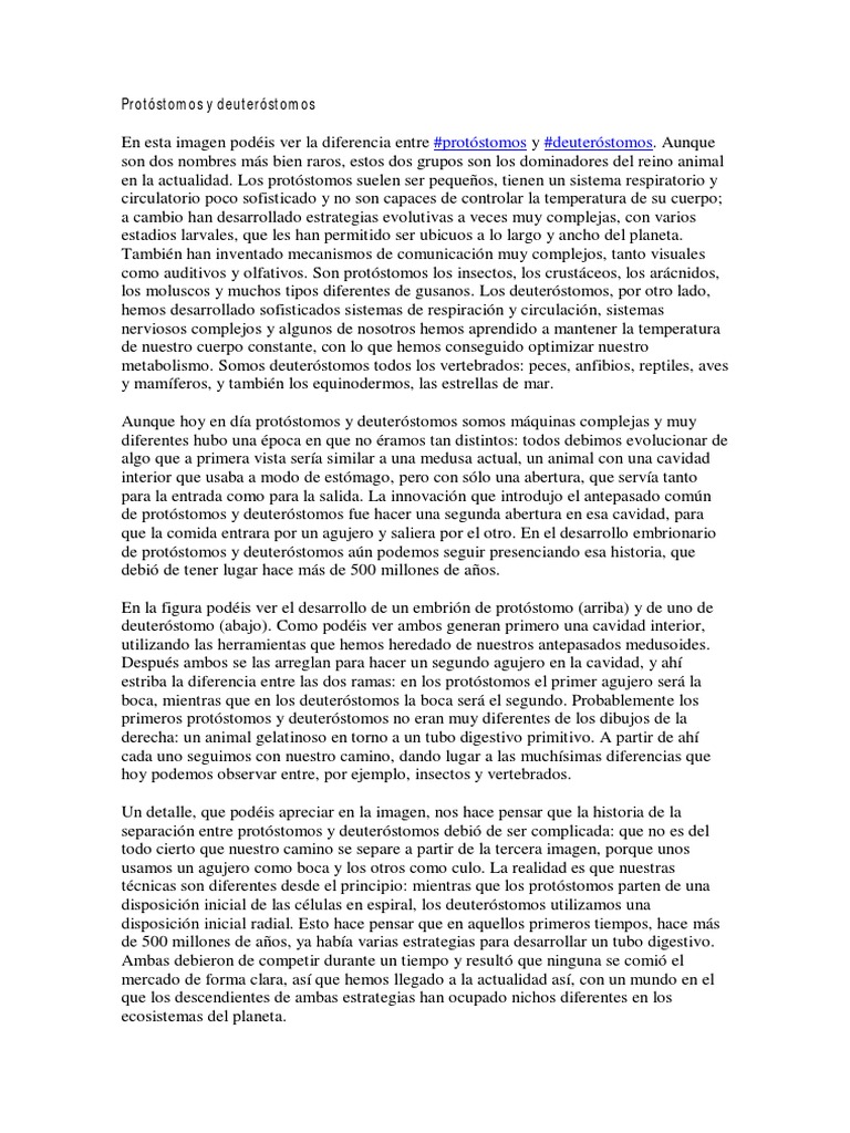 Protóstomos y Deuteróstomos | PDF | Evolución | Biología