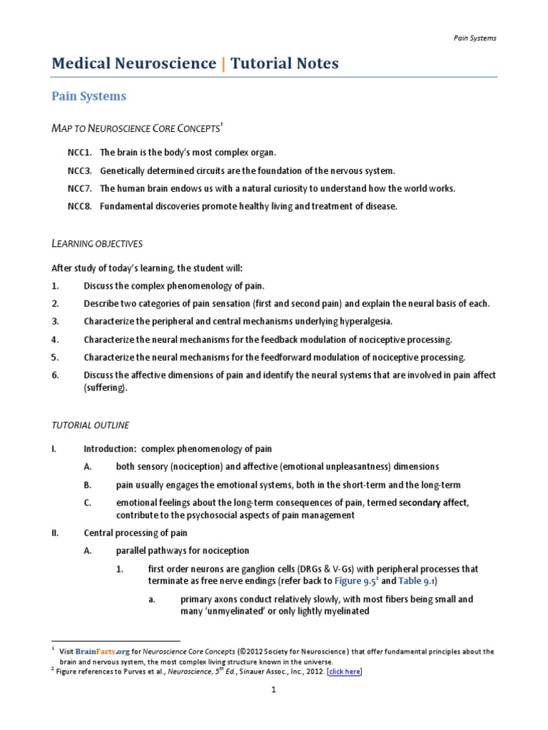 Medical Neuroscience Tutorial Notes: Pain Systems | PDF | Somatosensory ...