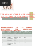 Tacto Protopático y Epicrítico KNP | PDF | Piel | Neurobiología