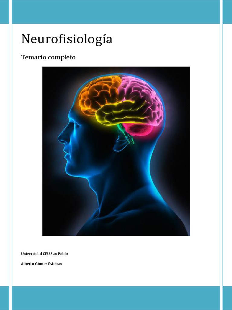 Neurofisiologia - Alberto Gomez Esteban | PDF | Cerebelo | Neurona motora