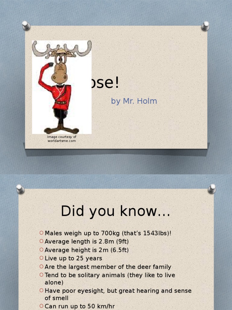 Prac5 Moose Pdf Moose Gray Wolf