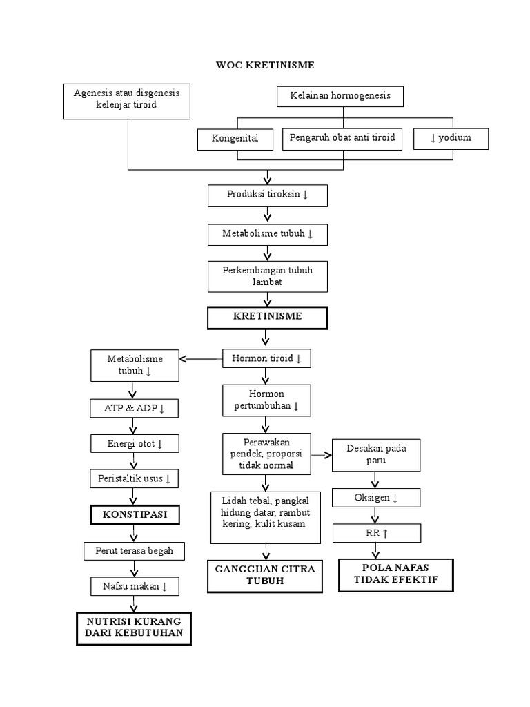 Woc Kretinisme | PDF