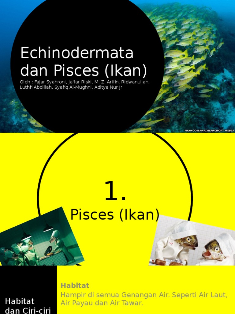 Presentasi Pisces | PDF