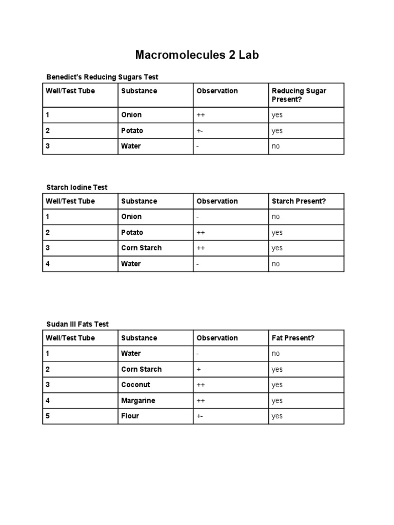 Macromolecules 2 Lab: ++ Yes +-Yes - No | PDF | Starch | Fat