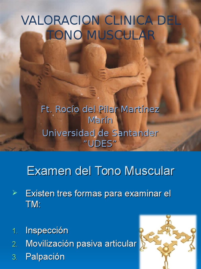 Examen Del Tono Muscular Escalas | Términos anatómicos de ubicación ...