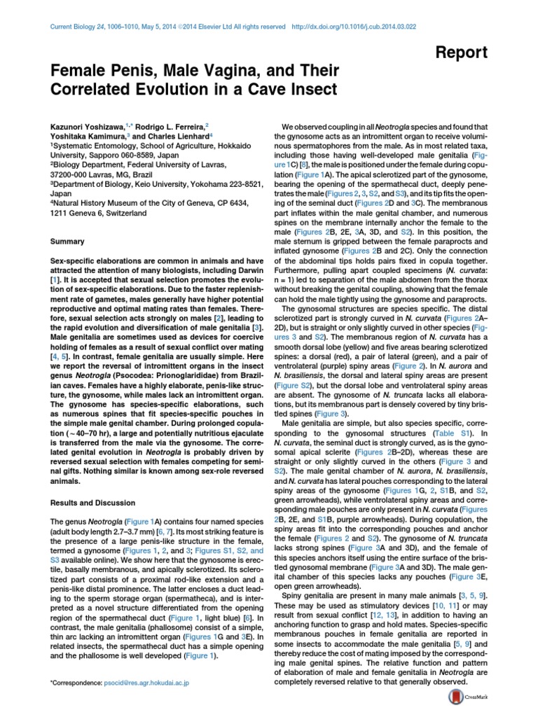 Female Penis, Male Vagina, and Their Correlated Evolution in A Cave ...