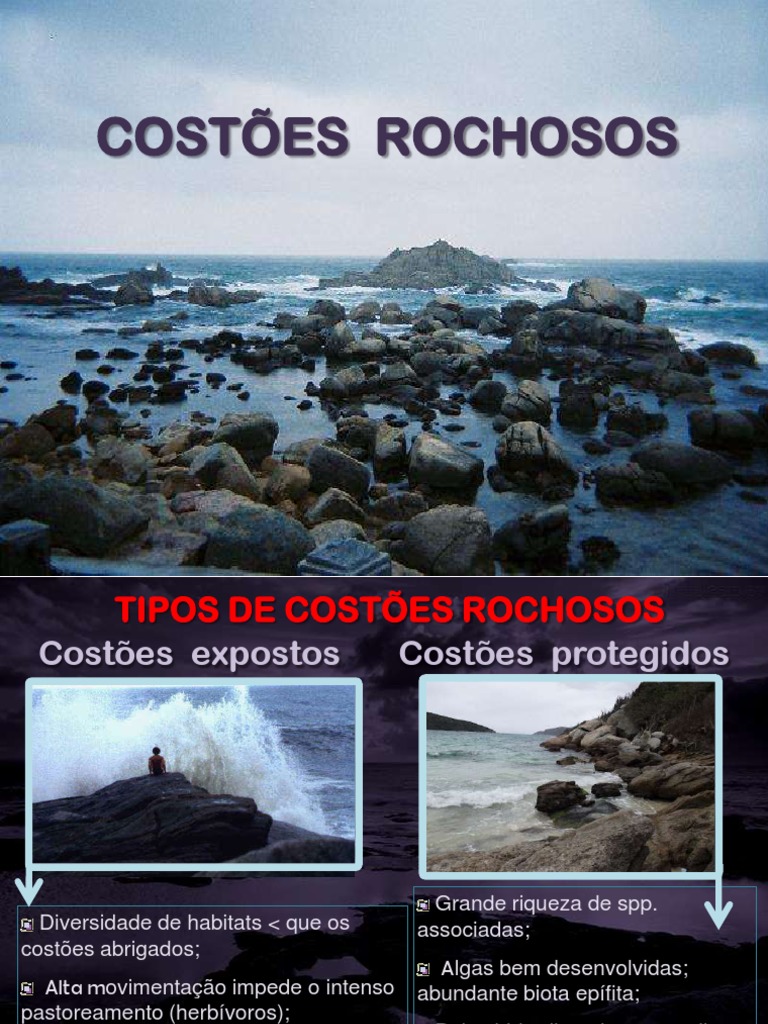 Costões rochosos e praias arenosas | PDF | Mar | Geomorfologia