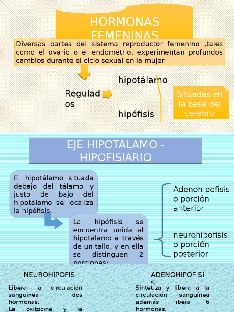 Hormonas Femeninas | PDF | Ciclo menstrual | Hormona luteinizante