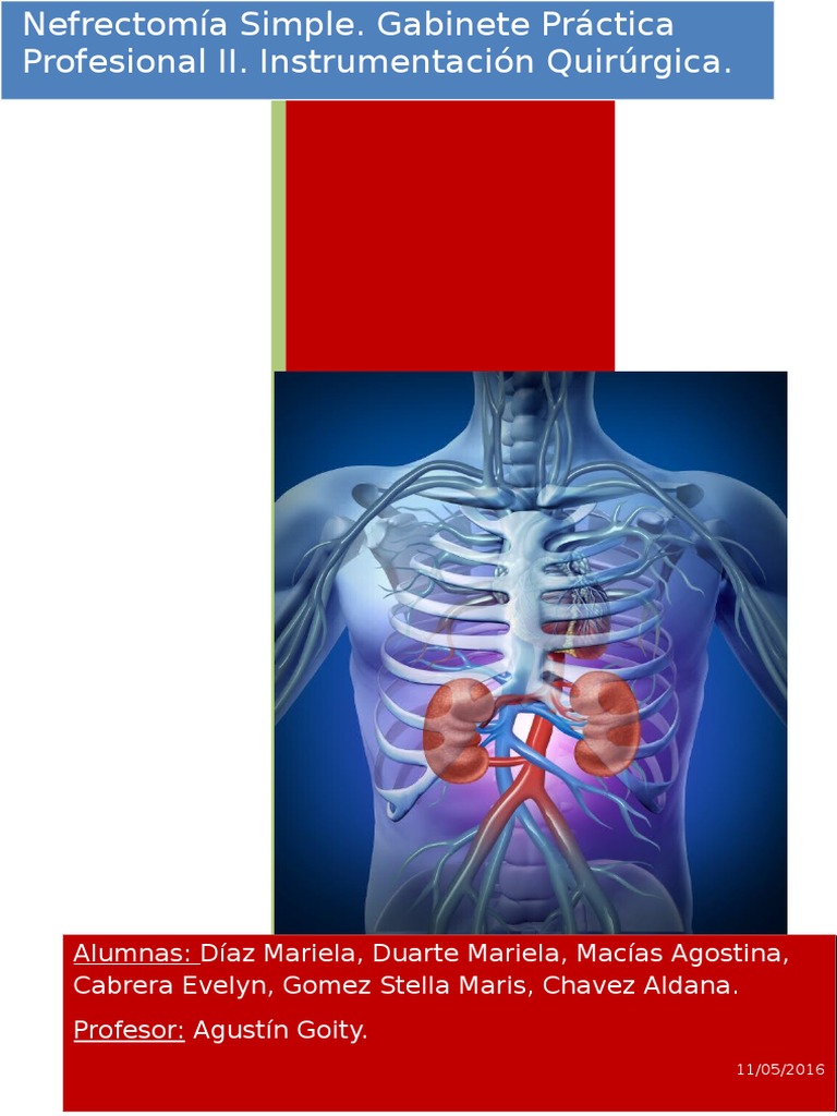 NEFRECTOMÍA SIMPLE. Práctica | Bazo | Riñón