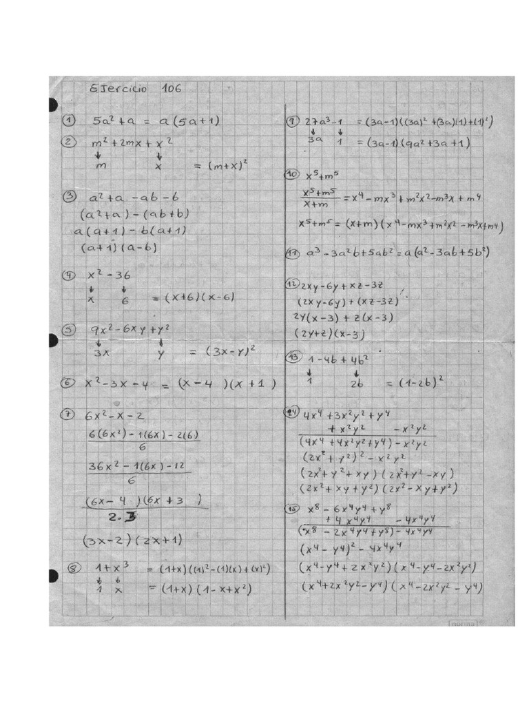 Ejc 106 Miscelanea Factorizacion Algebra | PDF
