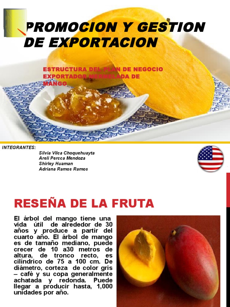 Exposicion Del Mango-2 | PDF | Cadena de valor | Producto (Negocio)