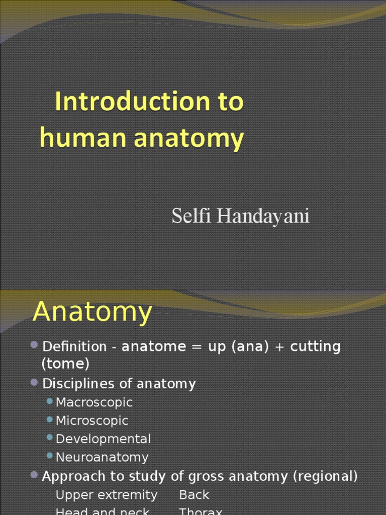 Comprehensive Guide to Human Anatomy | PDF | Anatomical Terms Of ...