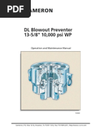 P QUIP Swab and Pony Rod | PDF | Pump | Piston