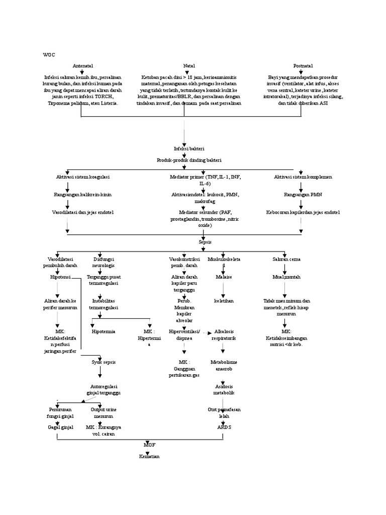 Woc Sepsis | PDF