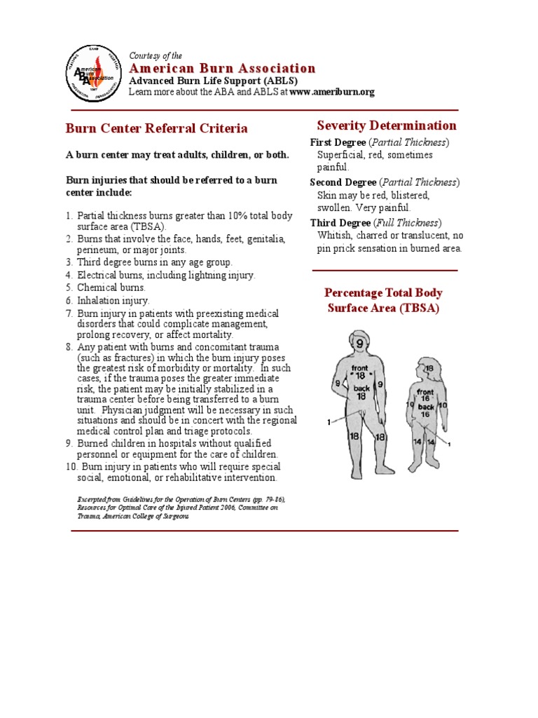 Burn Center Referral Guidelines | PDF | Self-Improvement | Science ...