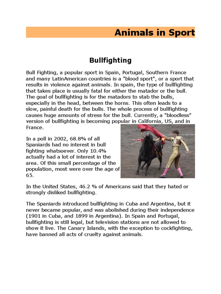 Animals in Sport | PDF | Bullfighting | Horse Racing