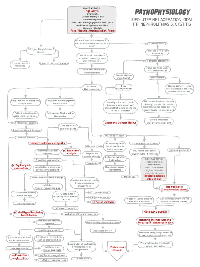 GDM, ITP, UTI, IUFD Pathophysiology | Urinary System | Medical ...