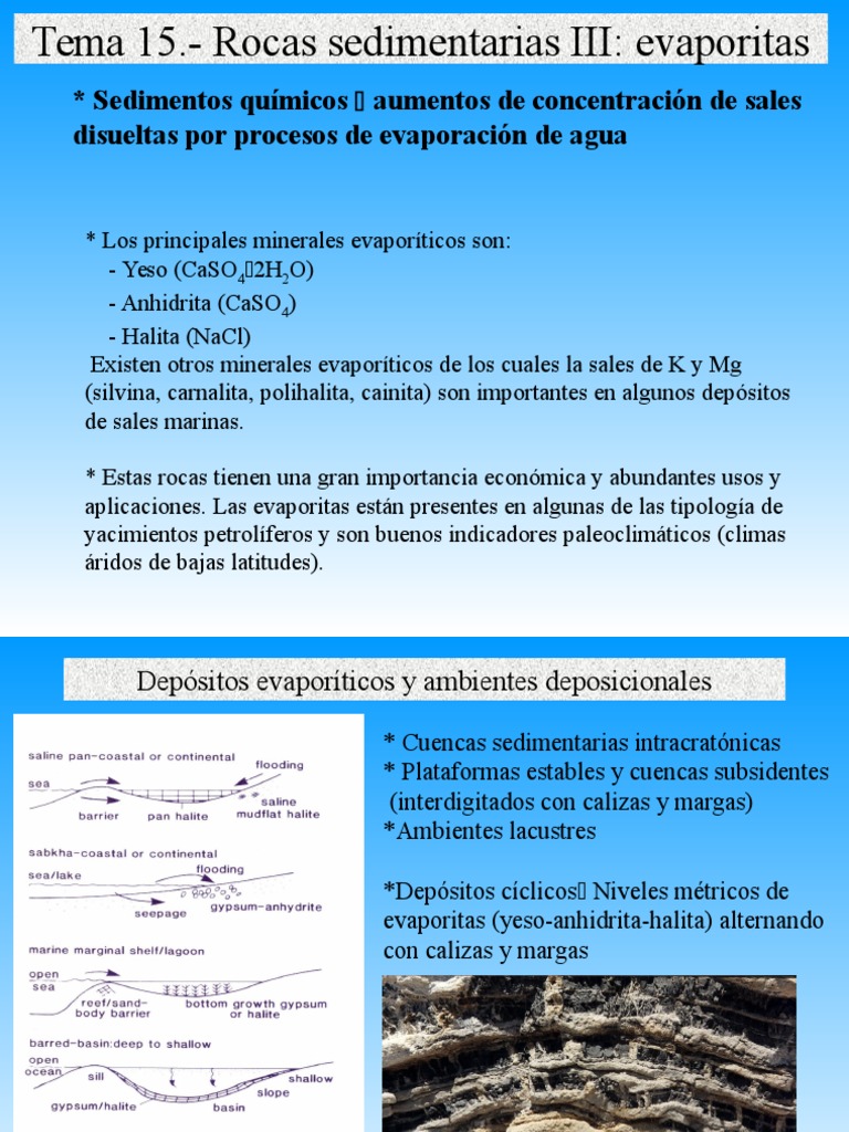Rocas Sedimentarias: Evaporitas y Usos | PDF | Yeso | Roca (geología)