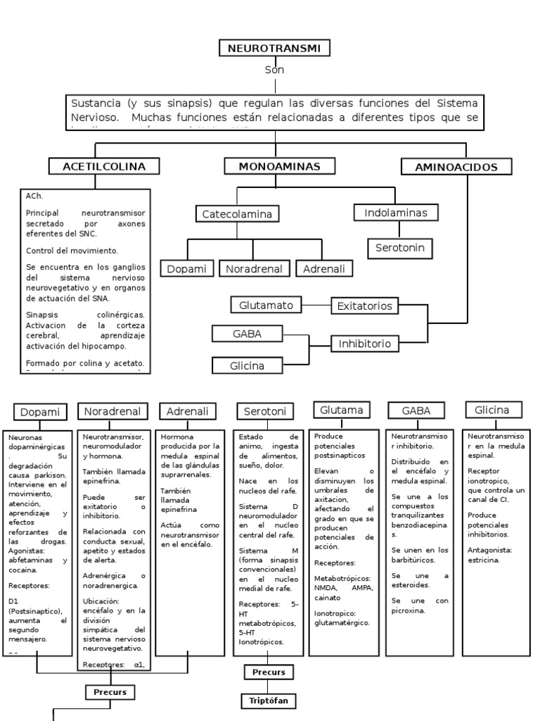 Neurotransmisores del SNC y SNA | PDF | Acetilcolina | Epinefrina