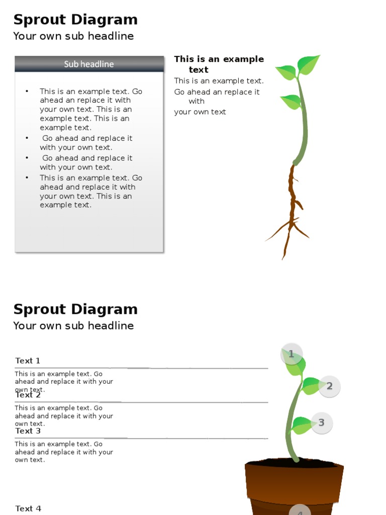 Sprout Diagram: Your Own Sub Headline | PDF | Horticulture And ...