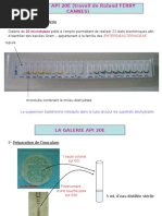 TP Bactériologie Galerie API | PDF | Microbiologie | Bactérie