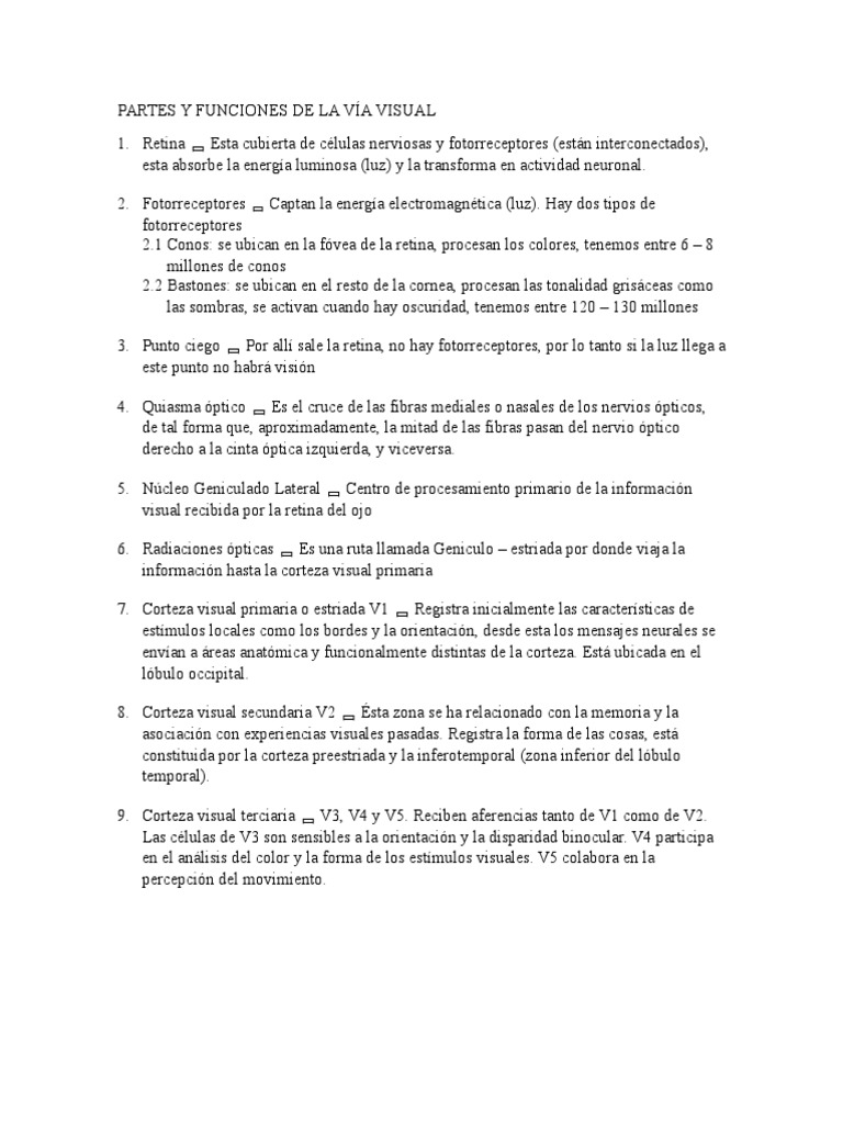 Partes y Funciones de La Vía Visual | PDF | Percepción visual | Corteza ...