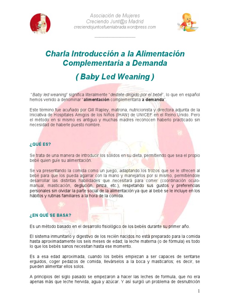 Taller BLW Web | PDF