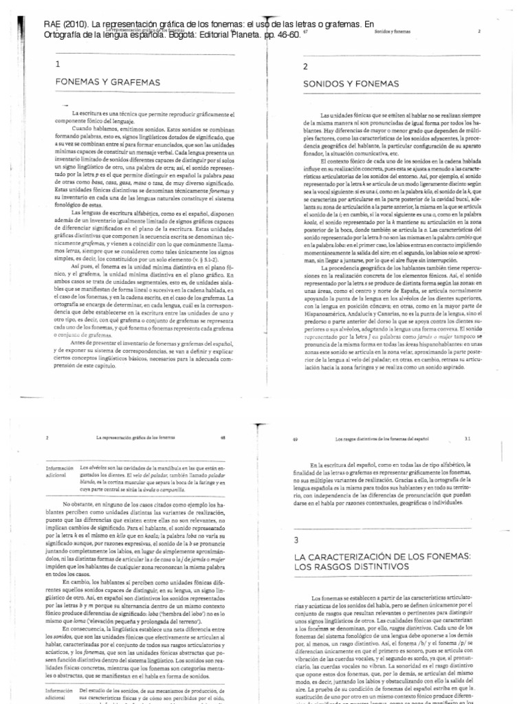 Representación Gráfica de Los Fonemas - RAE | PDF | Escritura latina | Lenguas de Europa