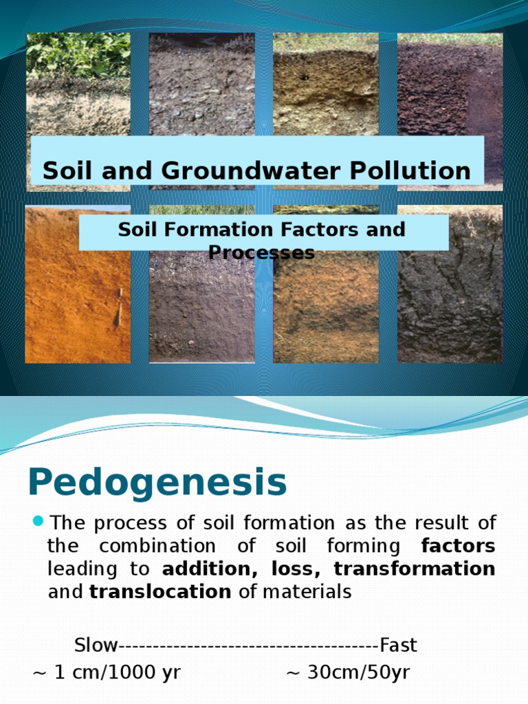 Soil Formation Factors and Processes | PDF | Science & Mathematics ...