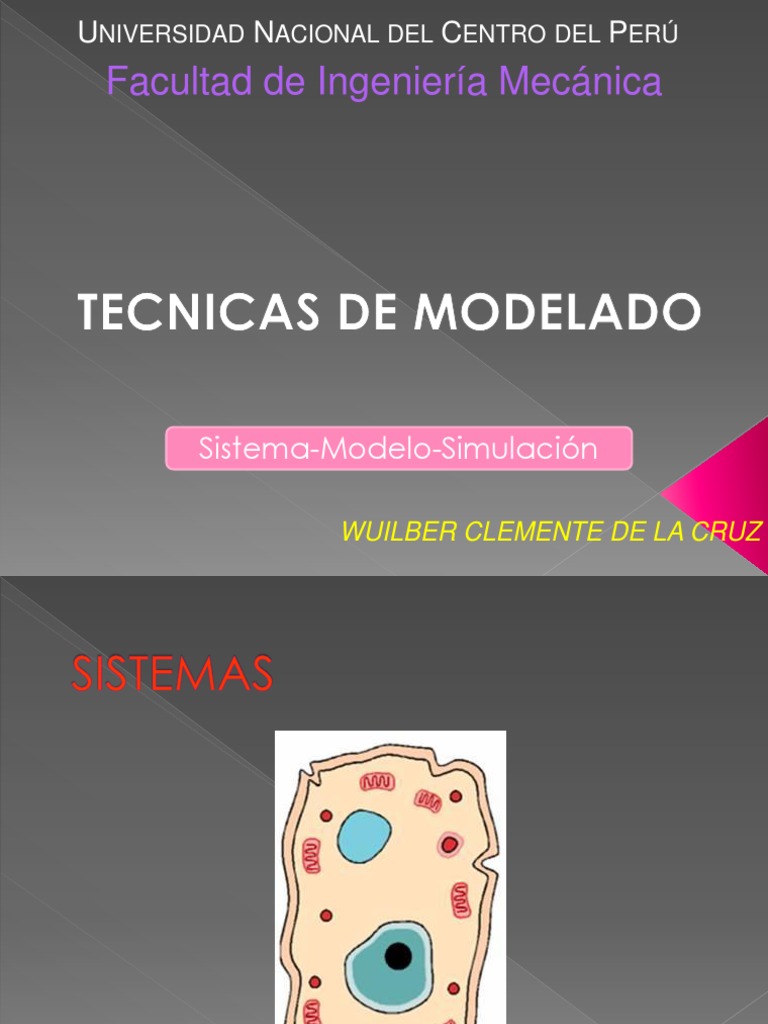 tECNICA DE MODELADO PDF | PDF | Simulación por ordenador | Simulación