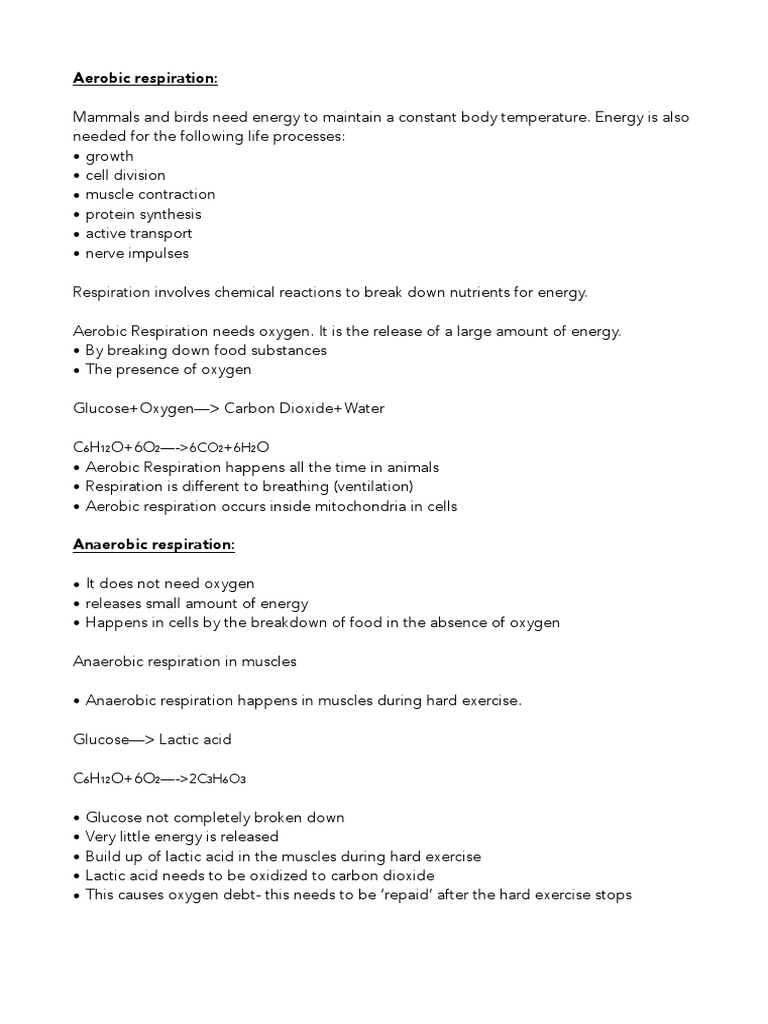 Igcse Biology Notes Pdf Cellular Respiration Respiratory System