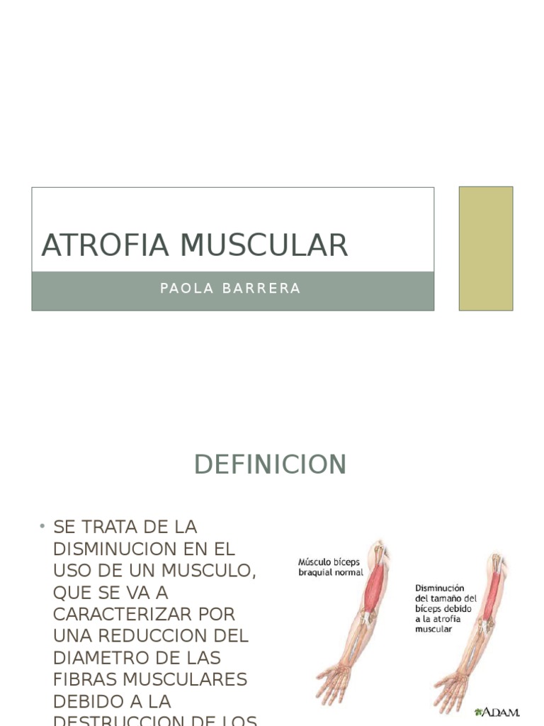 Atrofia Muscular | PDF | Acetilcolina | Músculo