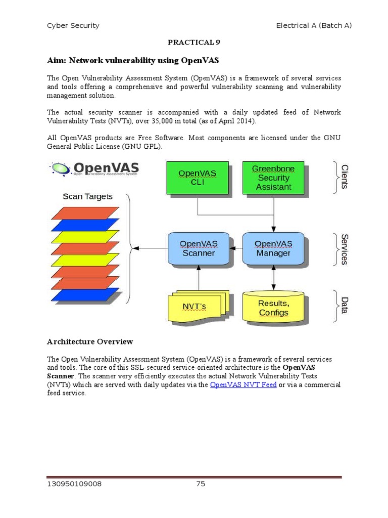 Open Vas | PDF | Computer Security | Security
