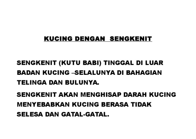 Kucing Dengan Sengkenit | PDF