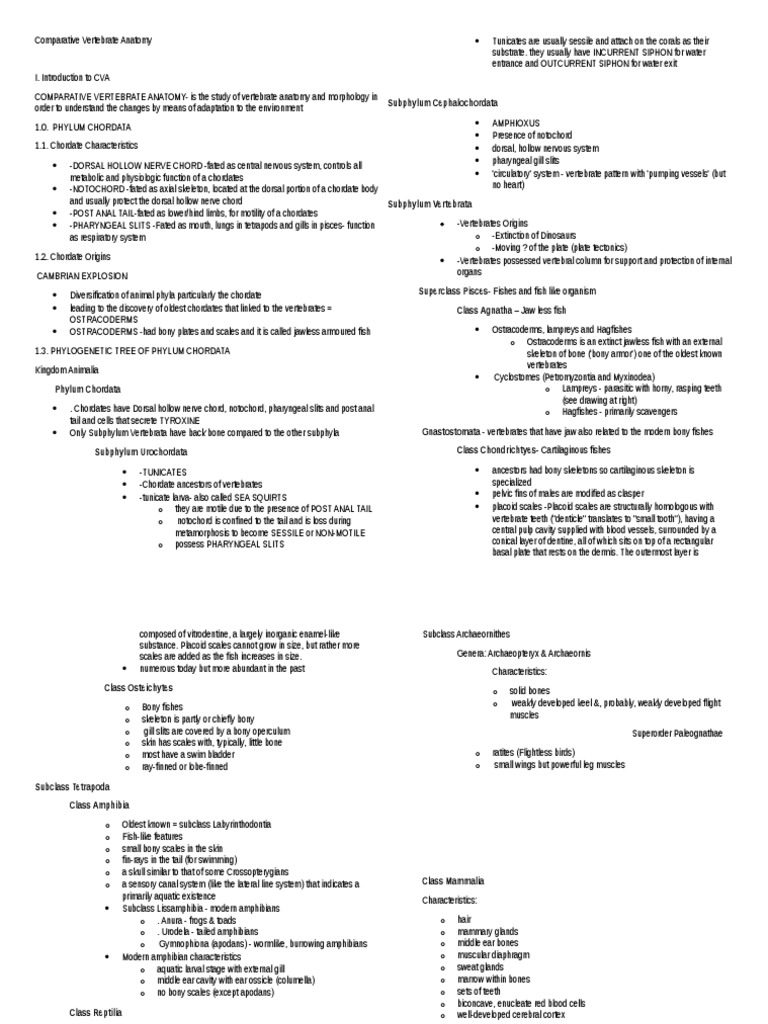 Comparative Vertebrate Anatomy Reviewer | PDF | Integumentary System ...