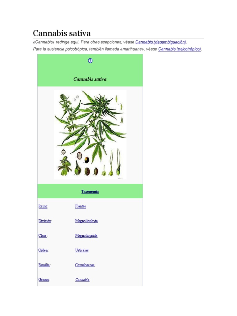 Cannabis Sativa | PDF | Botánica | Tratamientos médicos