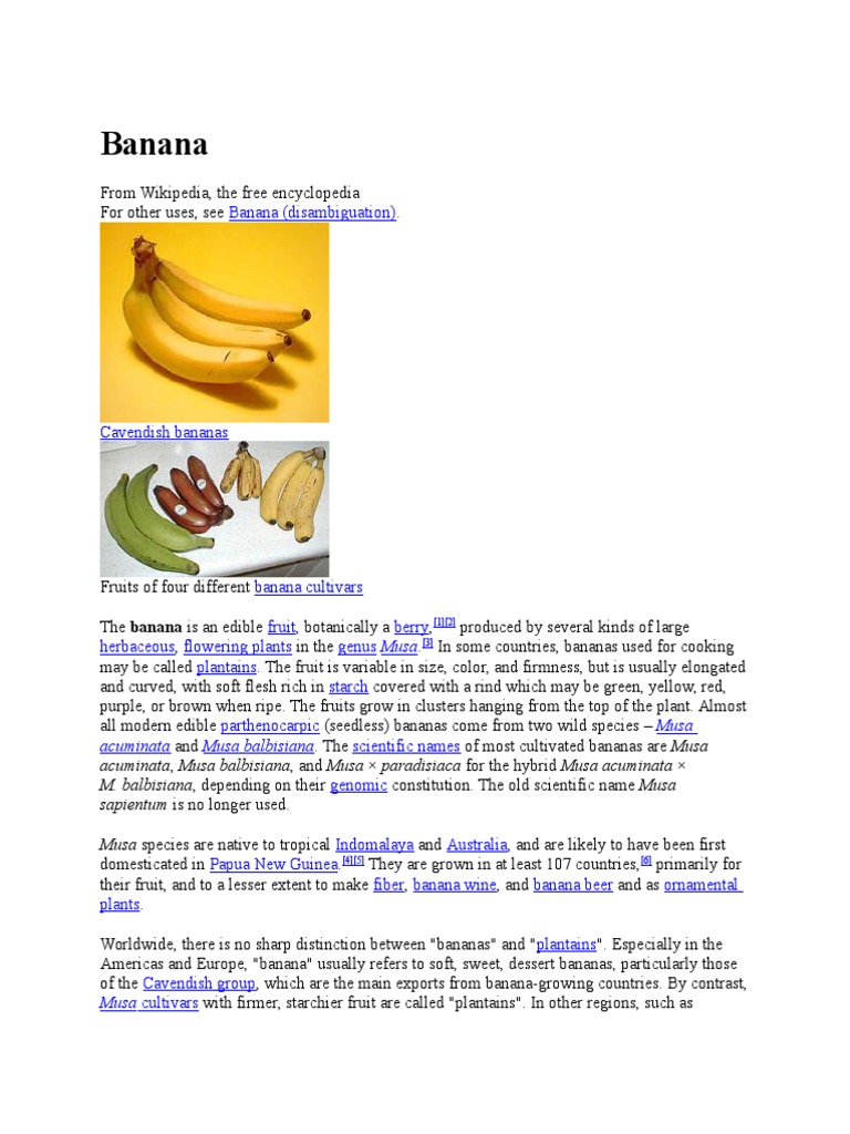 Banana | PDF | Banana | Agriculture