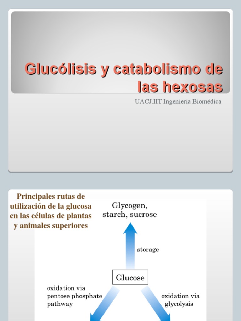 Glucolisis y Catabolismo de Hexosas | PDF | Glucólisis | Fosforilación