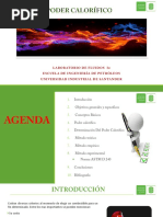 Poder Calorifico | PDF | Combustibles | Gas natural