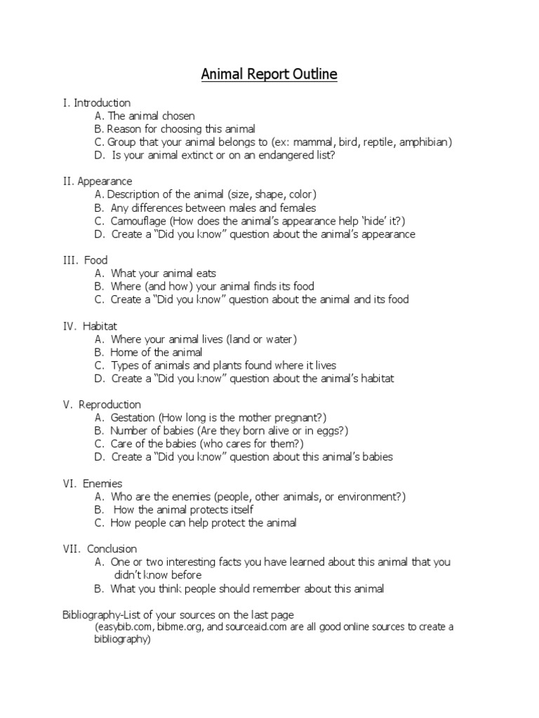 Animal Report Structure Guide | PDF