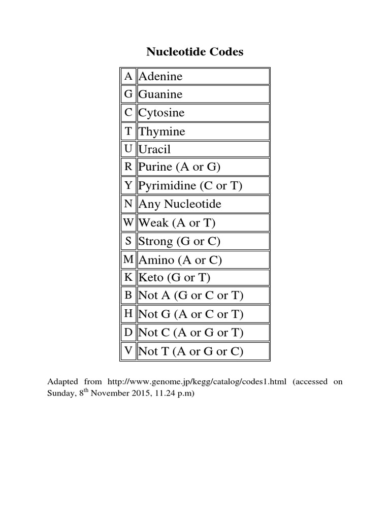 Nucleotide Codes | PDF
