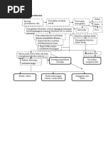 PATHWAY Hiperbilirubin | PDF