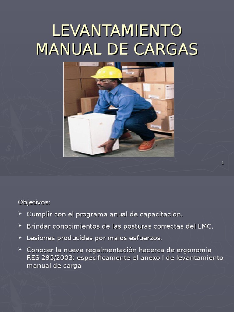 Levantamiento Manual de Carga | PDF | Vértebra | Sistema musculoesquelético