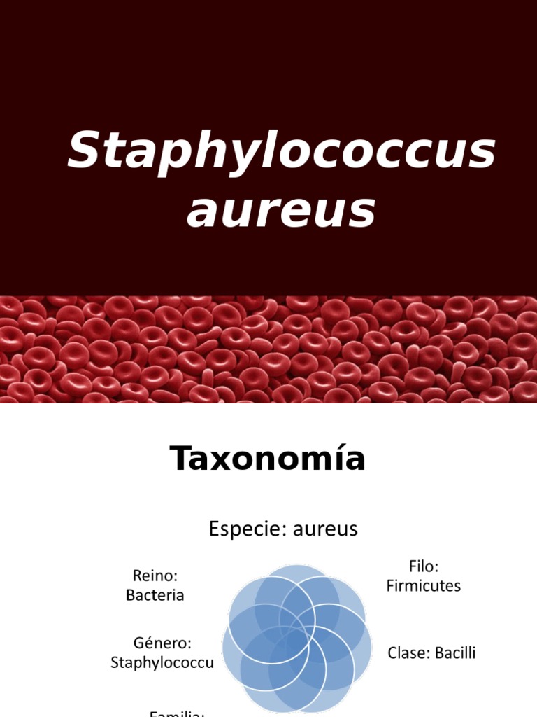 Staphylococcus Aureus Completo .Ppt2 | Staphylococcus Aureus ...