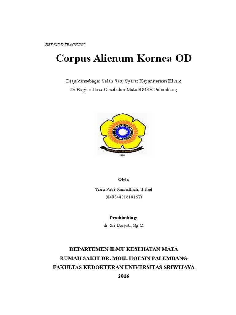 SHORT CASE Corpus Alienum Kornea | PDF